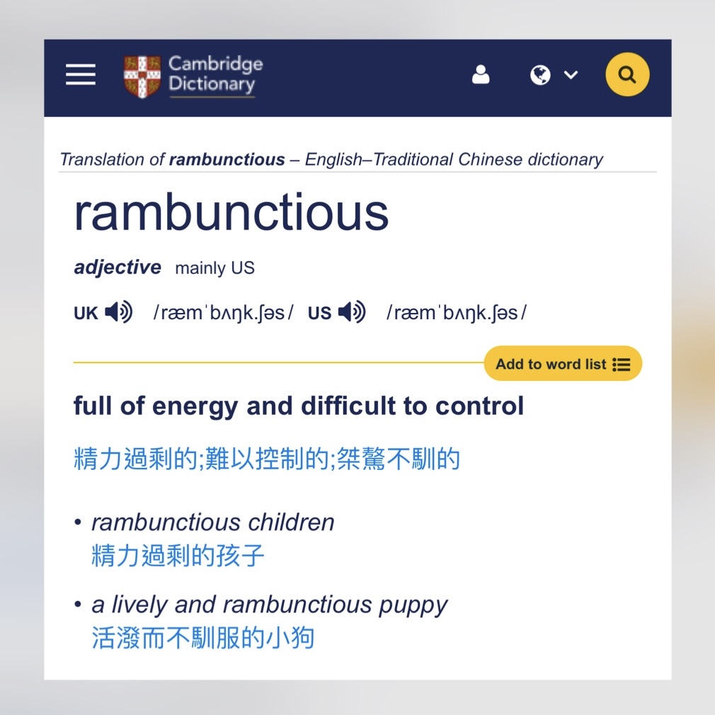 【小曦老師英國生活實戰單字簿 Aurora’s English Vocab Diary】No. 21 Rambunctious – 小曦老師 ...
